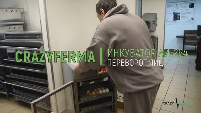 Как часто переворачивать яйца в инкубаторе_ Показываем на примере Инкубатора АИ-264 от Крейзиферма