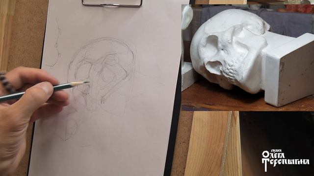 Набросок черепа в ракурсе