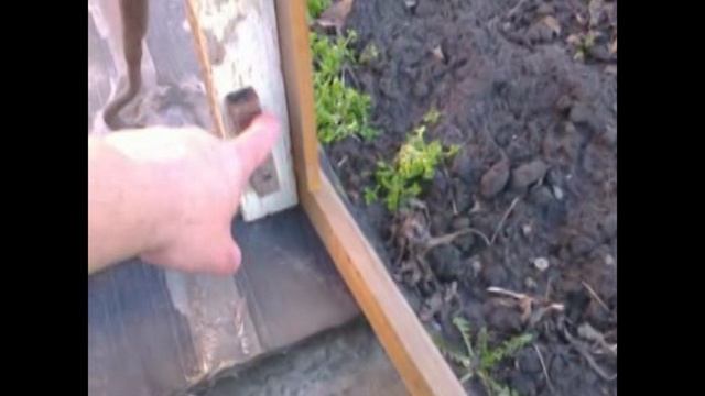 Удобная теплица под рассаду и микрозелень своими руками с деревянным каркасом и из б/у стеклопакетов