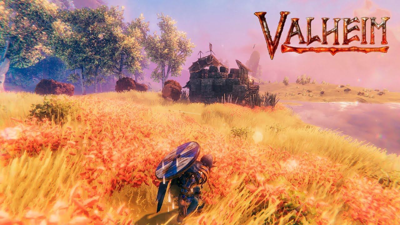 Valheim #11