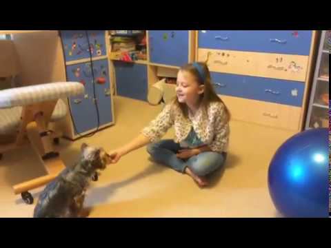 юная дрессировщица Милана и Лапик