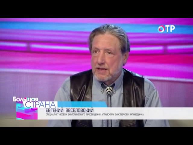 Алтайский заповедник в рубрике "Природный инстинкт"  в программе Большая страна на ОТР