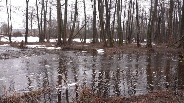 БОЛЬШАЯ ВОДА НА МАЛОЙ РЕКЕ