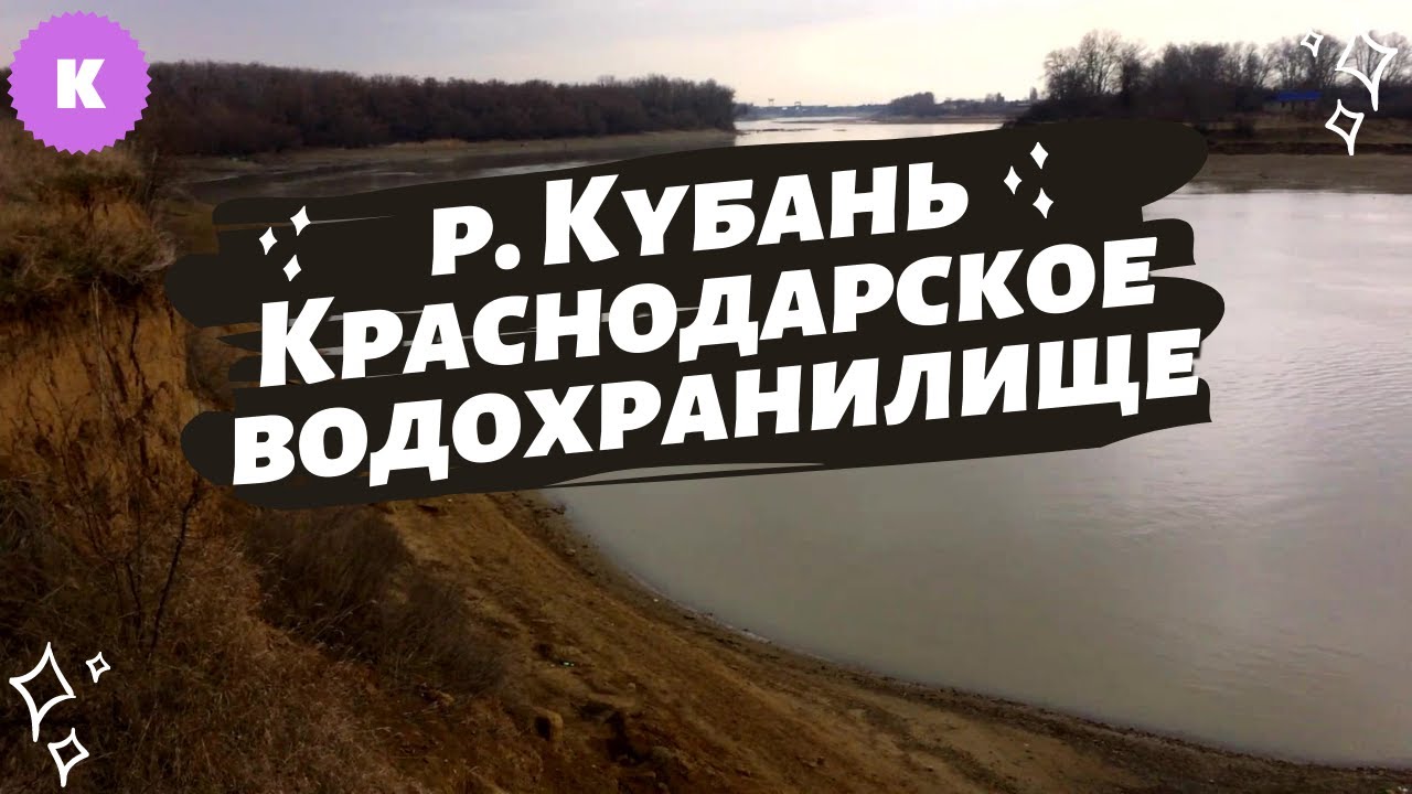 Птицы - к деньгам, мидии - к разочарованию и секретный соус