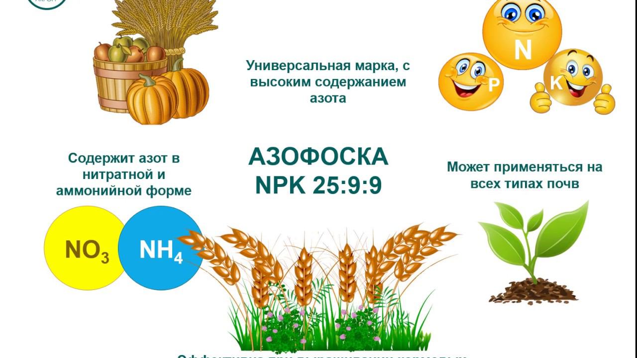 Как получить отличный урожай кормовых трав? NPK 25:9:9