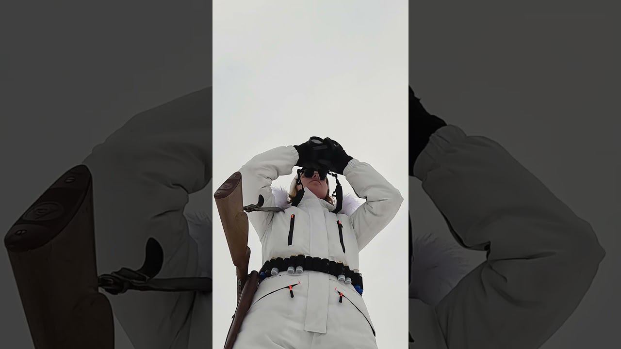 Охота с гончими, русская гончая и бигль / Hunting with hounds, russian hound and beagle