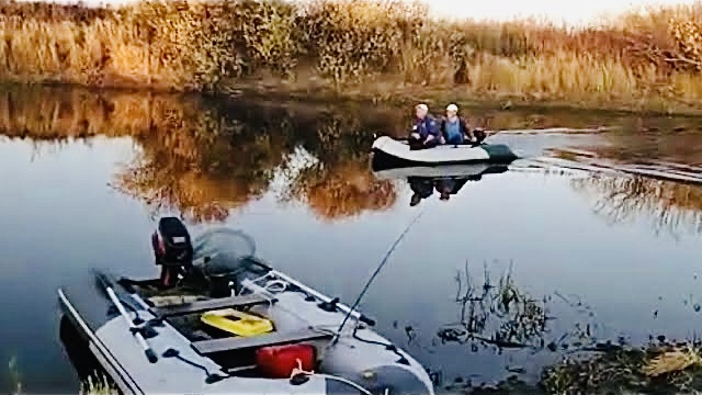 Немного рыбки на котлетки! Кто-то ловит, кто-то готовит! «Осенние зарисовки»