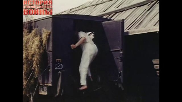 С камерой по восточному фронту #1