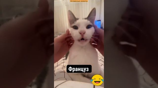 Француз