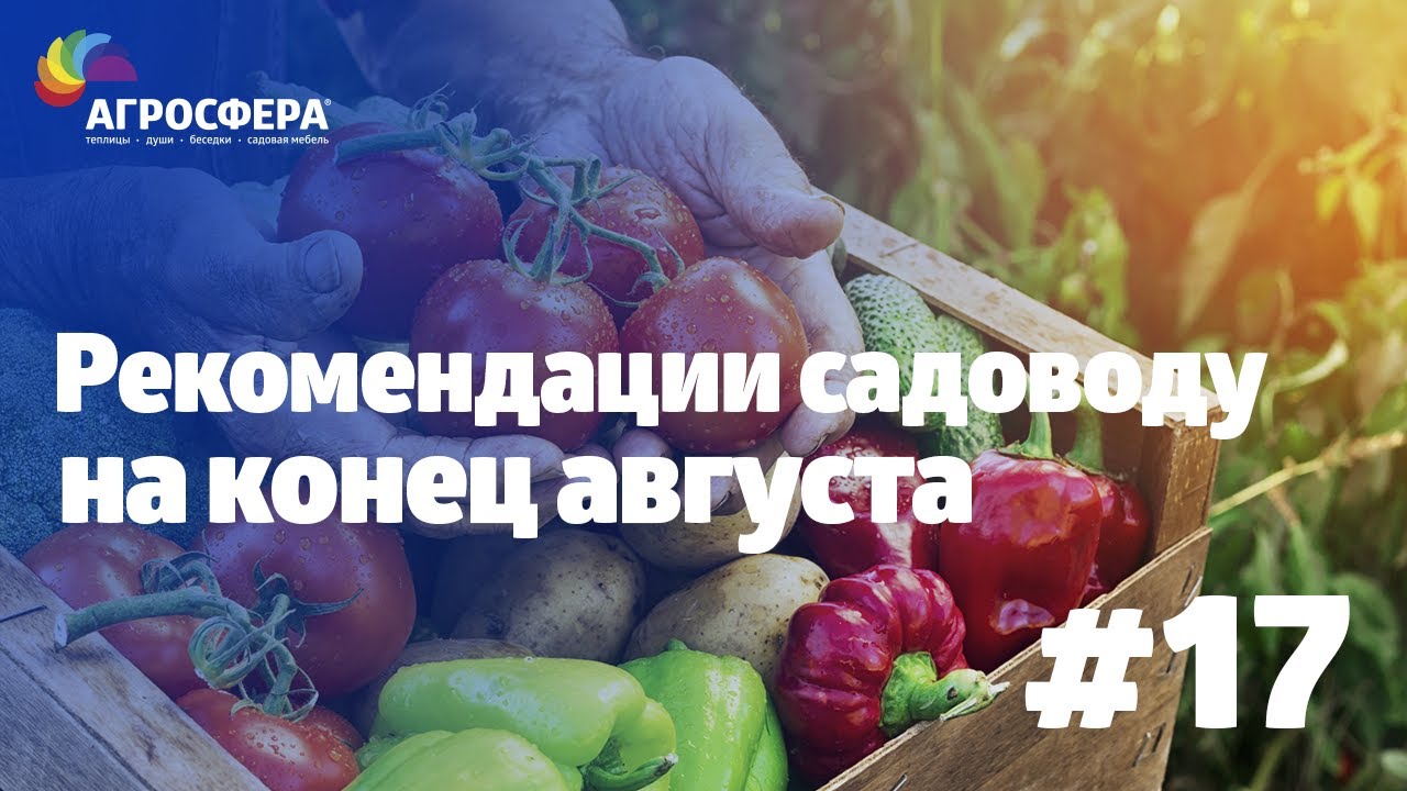 Советы для дачи и сада #17 - рекомендации для дачи и сада на конец августа / агросфера.рф
