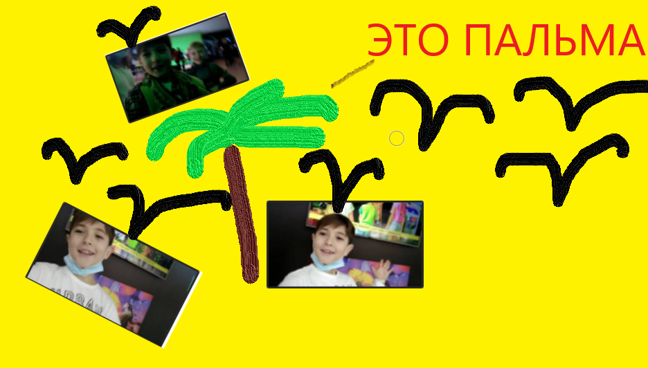 ВИДЕО ИЗ ДИКОЙ АФРИКИ!!!