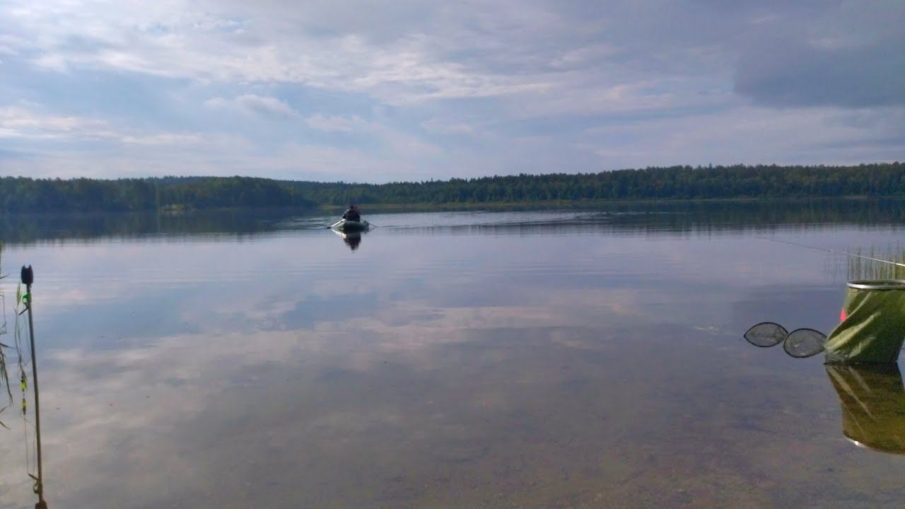 Отдых-рыбалка на пруду! ☺