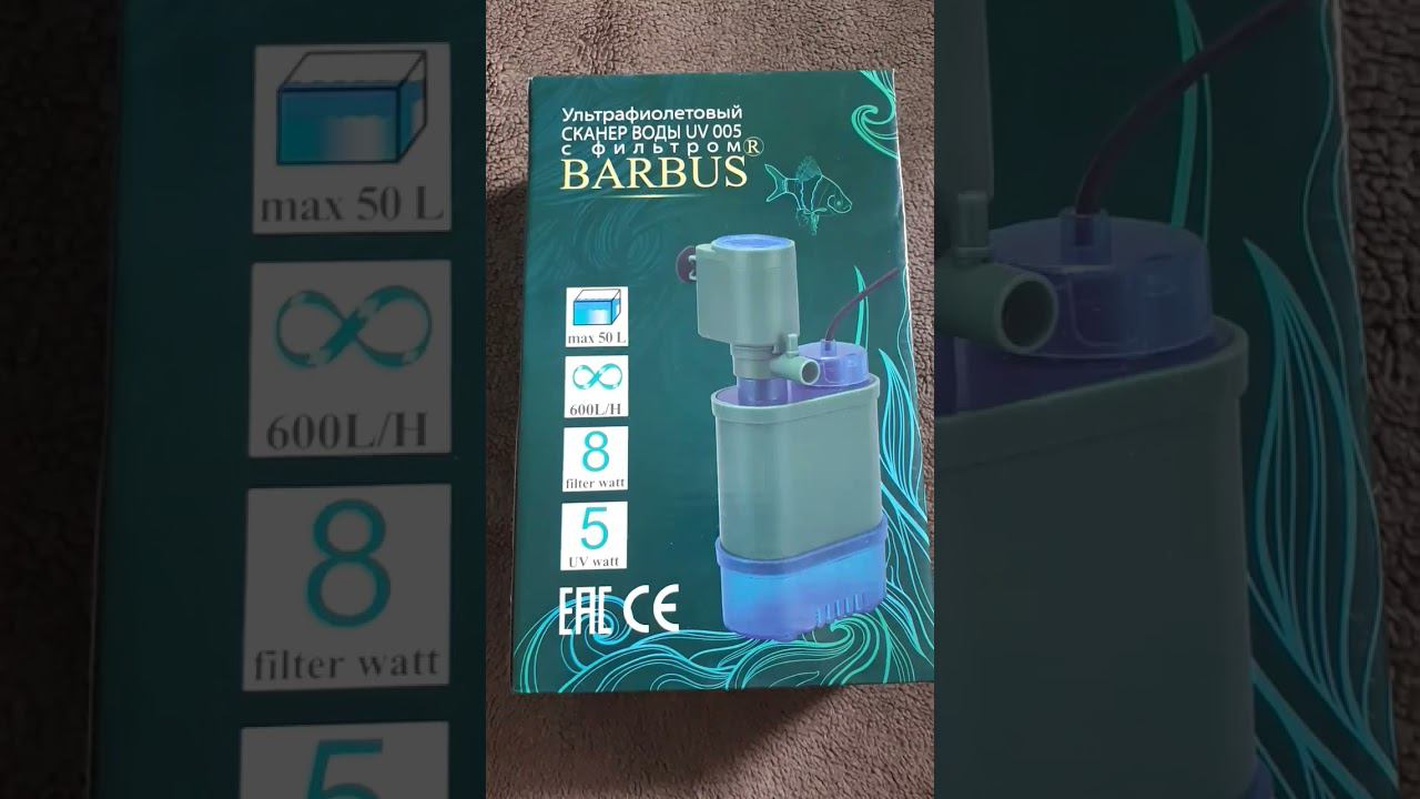 Эвглена зелёная, как мы её победили