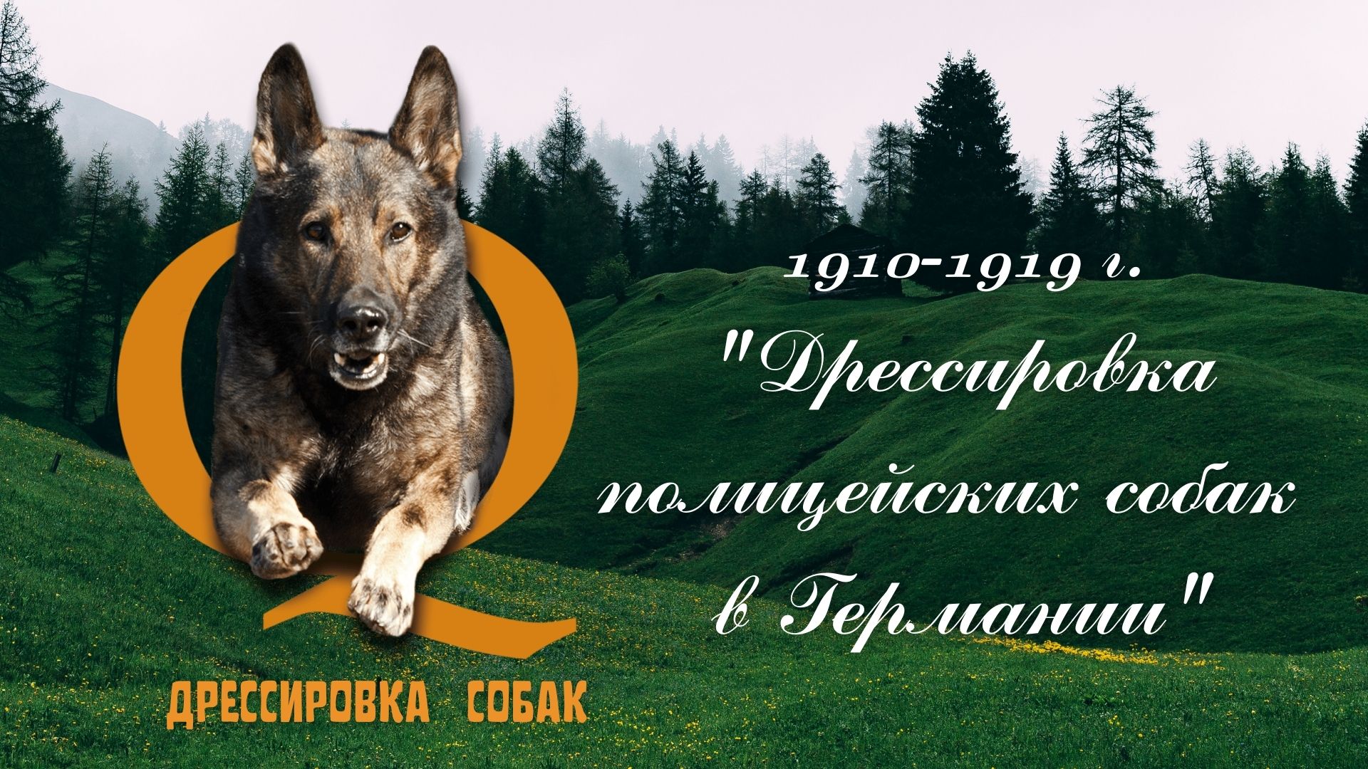 1910 - 1919 "Дрессировка полицейских собак в Германии"