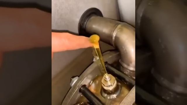 VID_20221217_191629_170.mp4