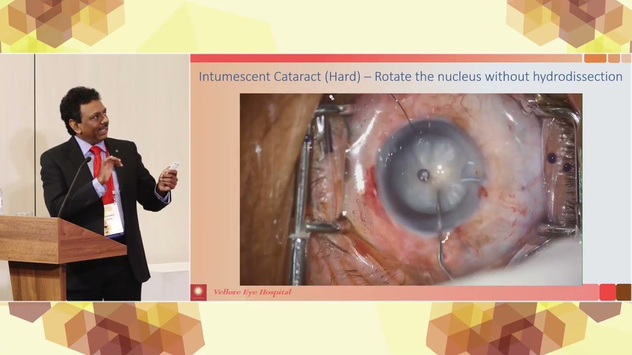 6 июня 2024 Конференц-зал №2 / June 6, 2024 Conference Hall #2