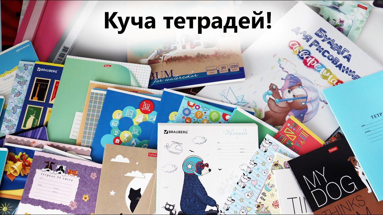 КУЧА тетрадок для школы! Смотрим вместе