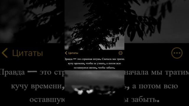 Цитата 15