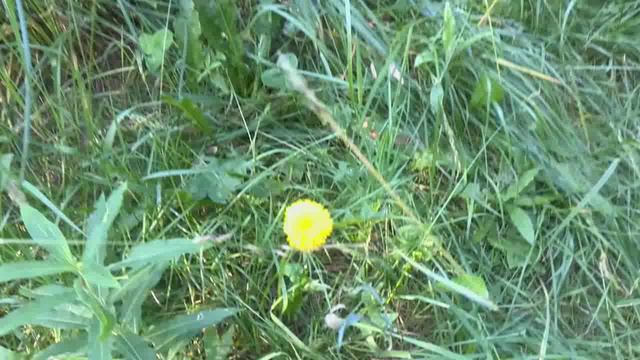 Августовские зарисовки