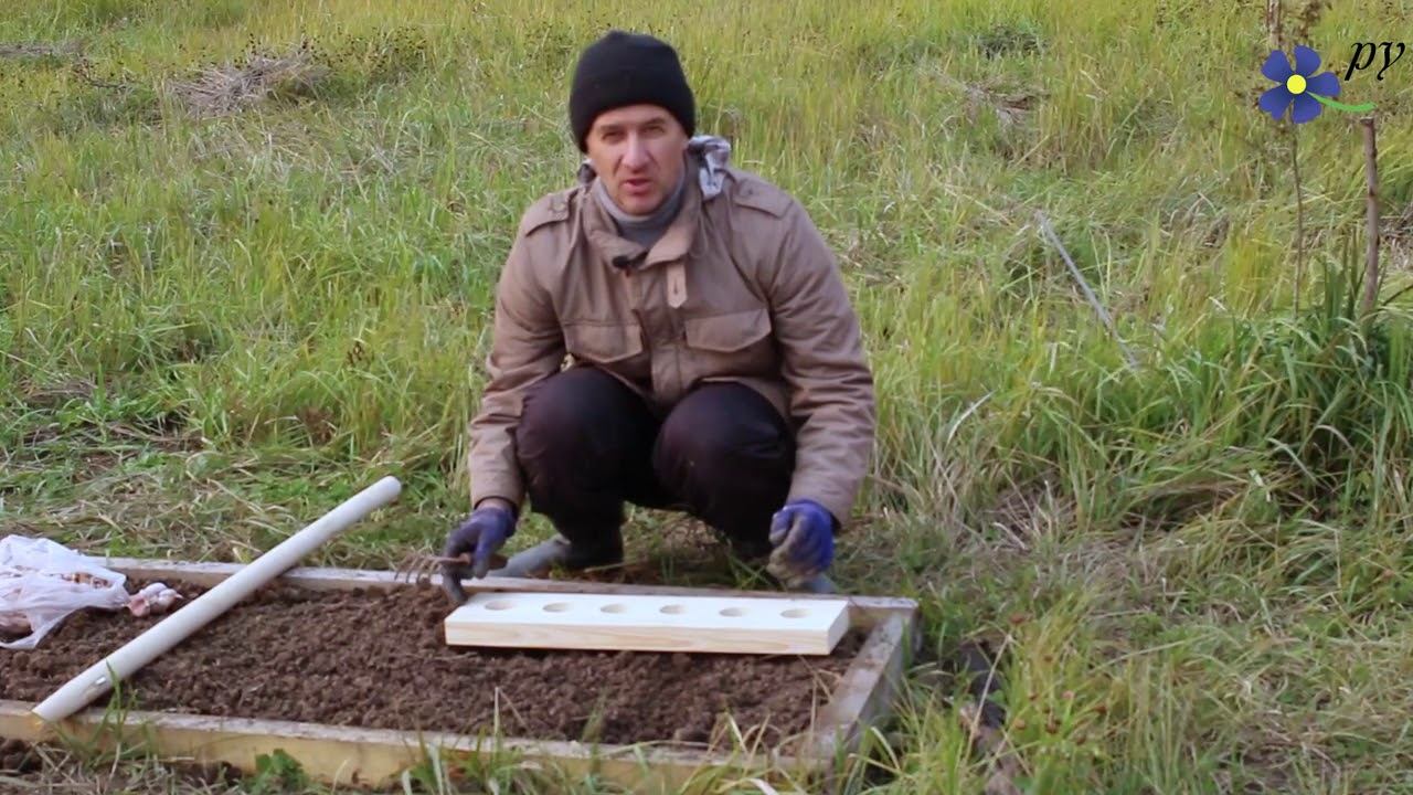 Посадка чеснока. Приспособления и хитрости.
