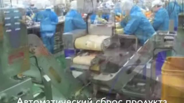 Чамко линия конвейерная для обработки рыбы