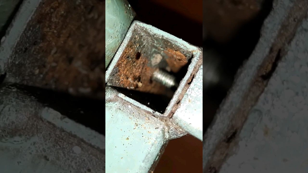 "Железные клопы" часть 1|Подпишись | #клопы #клопывквартире