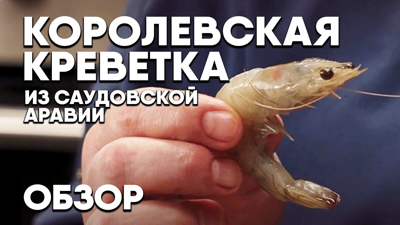 Королевская креветка из Саудовской Аравии. Обзор креветки ваннамей. Сергей Лигай для HoReCa