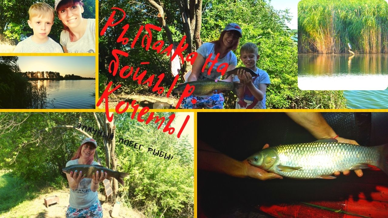 Рыбалка на реке Кочеты Краснодарский край! Амуры на бойлы ночью_Эпичный побег рыбы!!.mp4