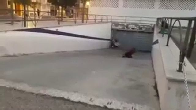 video_2022-06-20_12-38-52.mp4