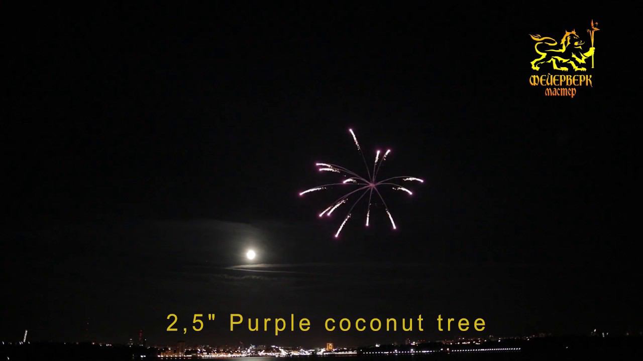 2,5" Purple coconut tree
