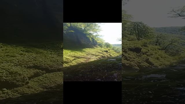 Тропа за водопадом