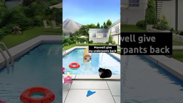 Над Banana cat жестоко пошутили;(