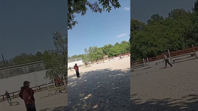 "Резонанс" школа верховой езды. Сокольники