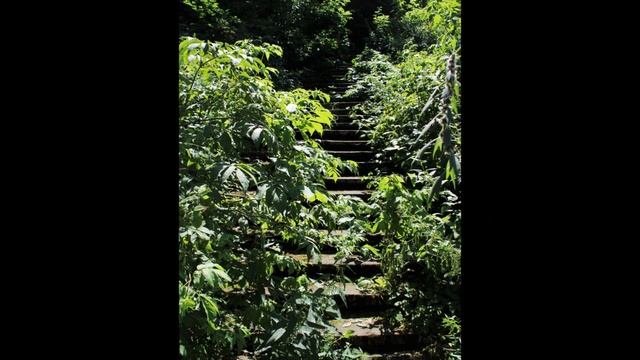 Прогулки по Нижнему Новгороду. У Волги: туда и обратно