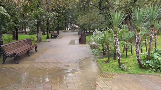 Из Питера в Сочи, февраль 2023