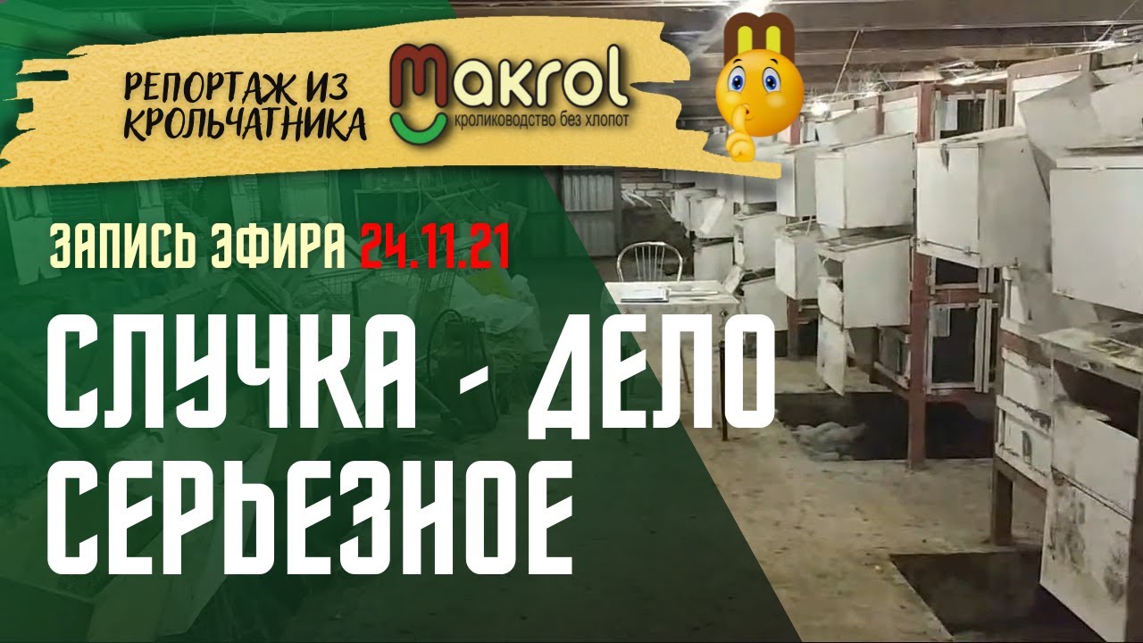 ?24.11.2021 ?Крольчатник Макрол. ?Еженедельный эфир из крольчатника. Макляк.