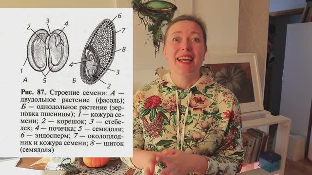 Эксперимент, который все доказал про всхожесть семян перца