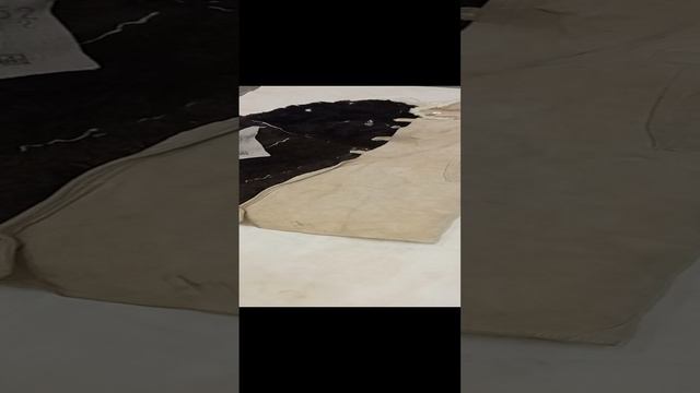 VID_20240217_134600.