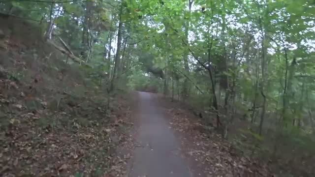 Заблудился в парке Калининграда и ищу выход