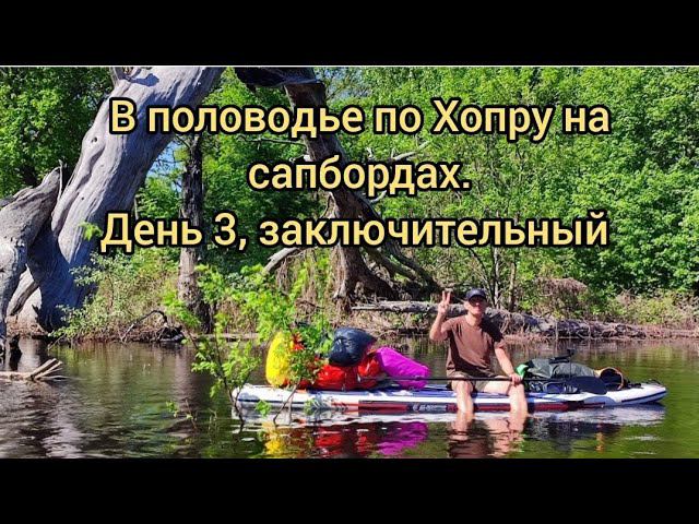 На сапбордах в половодье по реке Хопёр. День третий, заключительный. #сапборд #sup #водный_поход