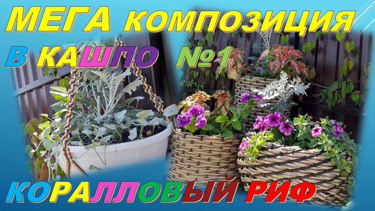 МЕГА композиция в кашпо "Коралловый риф"