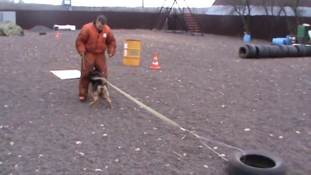 Тренировки на защиту Сергея Богданова