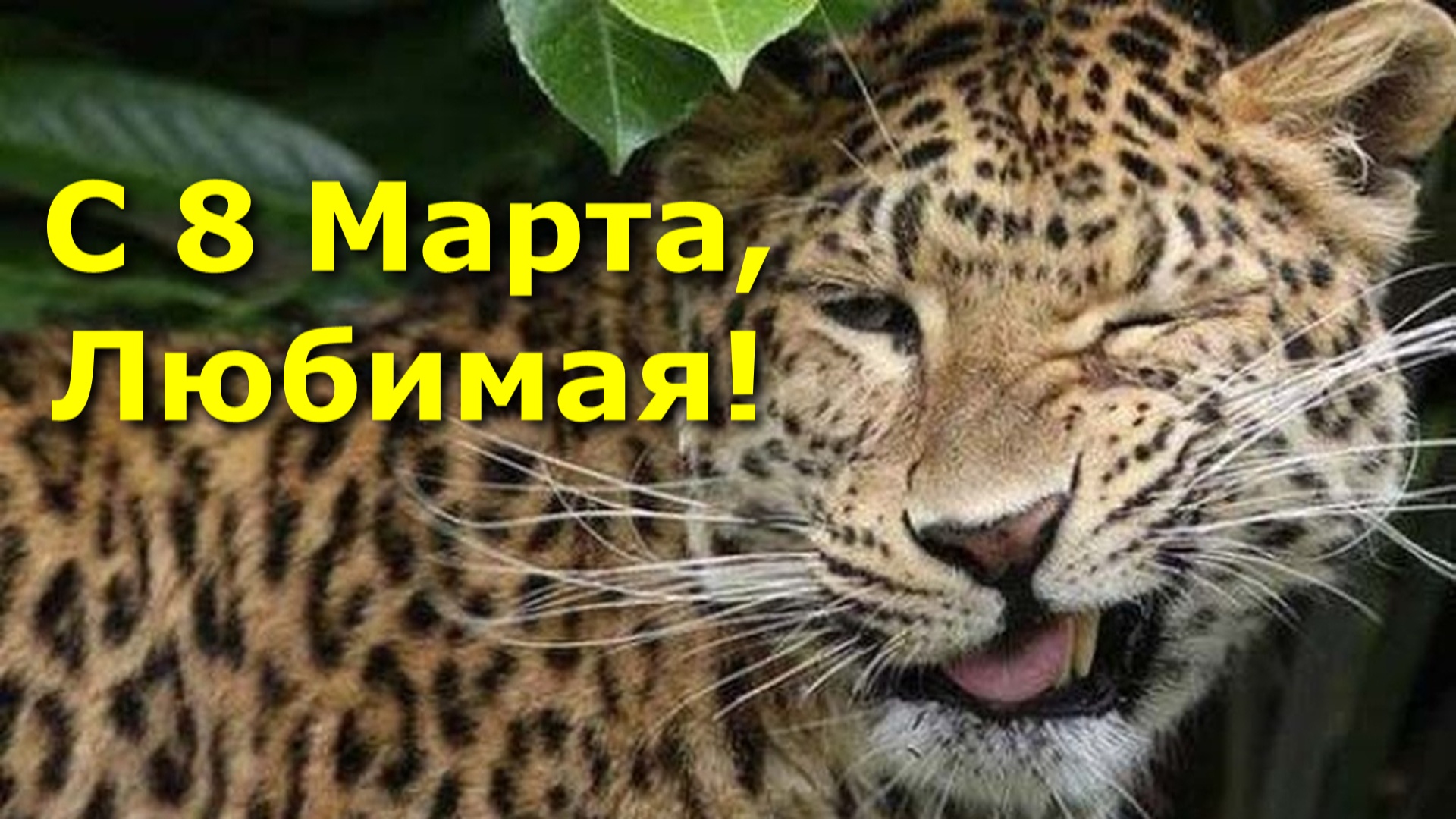 C ПРАЗДНИКОМ 8 МАРТА! - Поет Сергей Петров