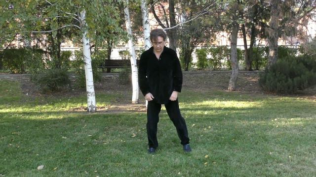 02 Таолу стиля Орлан и барс