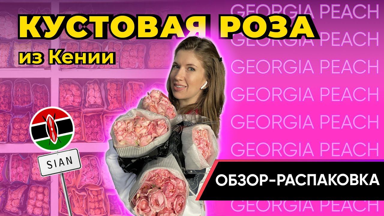 КУСТОВАЯ РОЗА ИЗ КЕНИИ | Обзор и распаковка коробки кустовых роз Georgia Peach от плантации SIAN