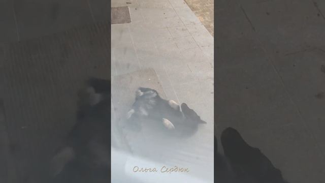 Марта балдеет