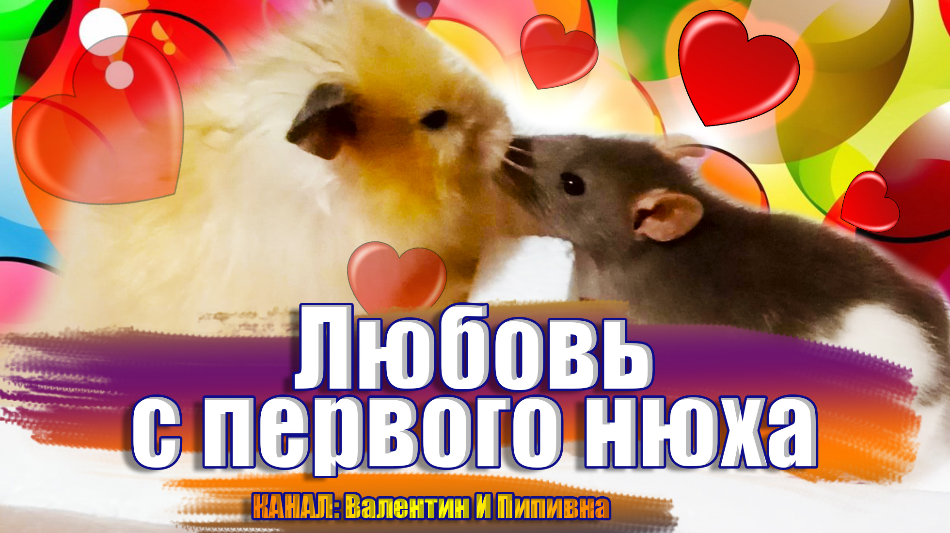 Любовь с первого нюха. Волентин знакомится с Пипивной