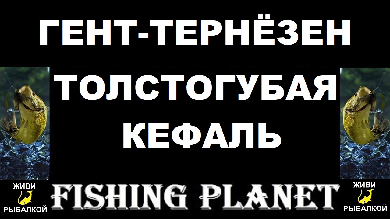 Толстогубая кефаль на канале Гент-тернезен в игре Fishing Planet