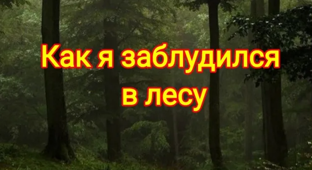 КАК ОТЛИЧИТЬ ЛОЖНЫЕ ЛИСИЧКИ ОТ НАСТОЯЩИХ! ЛЕС в с.Заречье...