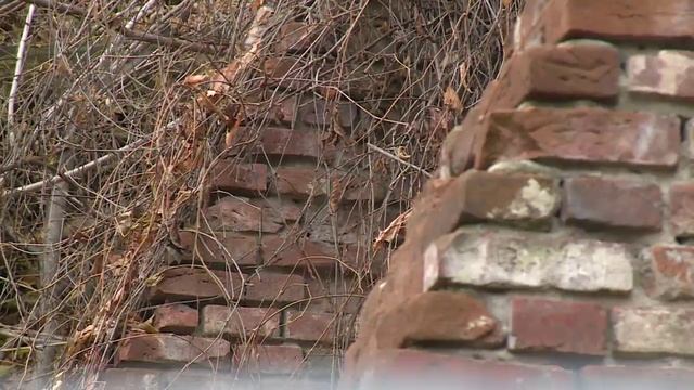 Экскурсии по Воронежу. Помяловский спуск.